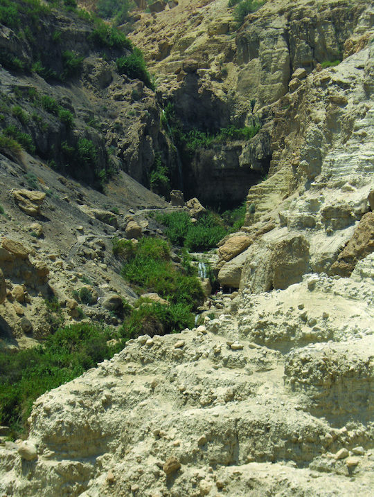 Ein Gedi in Israel | Saint Mary's Press